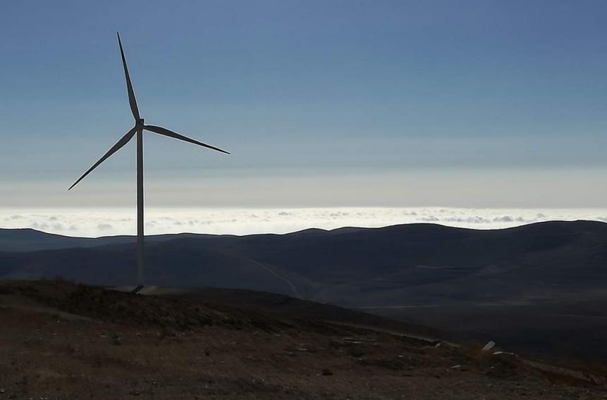 Wind Farm Avifauna Operational Monitoring in Jordan | ECO Consult